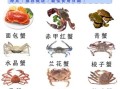 海里螃蟹的种类有哪些_如何区分常见海蟹