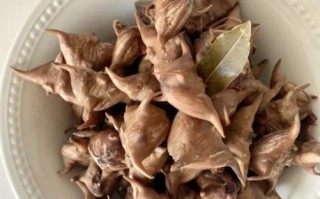 菱角怎么煮才好吃_菱角煮多久才软糯