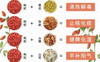 枸杞泡水喝的功效与作用是什么_枸杞泡水一天喝几次最好