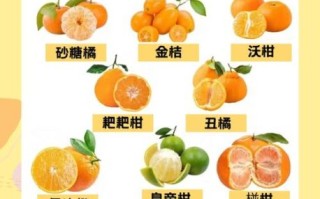 桔子的拼音怎么拼_桔子是juzi还是juzhi