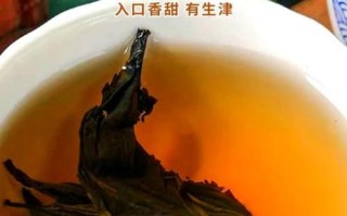 杜仲茶的功效与作用_杜仲茶的禁忌有哪些
