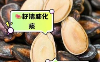 西瓜子的功效与作用_西瓜子的害处有哪些