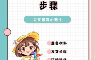 在家怎么发绿豆芽_绿豆芽发芽最快的方法