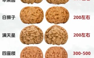 中国十大名核桃有哪些_如何挑选正宗文玩核桃