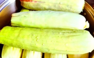 蒸玉米需要多长时间_蒸玉米的正确方法