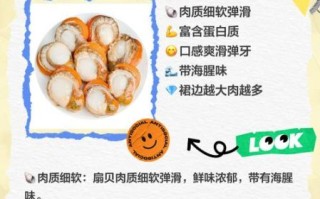 鲜贝怎么做好吃_鲜贝的营养价值有哪些