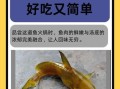 黄辣丁鱼怎么做好吃_黄辣丁鱼的家常做法