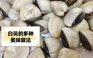 白贝怎么清洗_白贝怎么保存