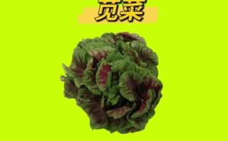 红凤菜是苋菜吗_红凤菜与苋菜的区别