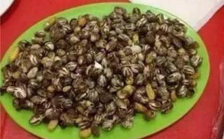 八角丁虫扎人后照片_被八角丁虫咬了怎么办