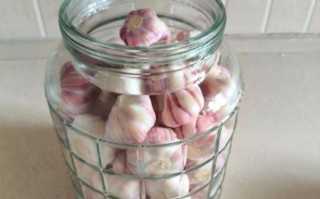 腌制干大蒜的正确方法_干蒜怎么腌制才脆爽