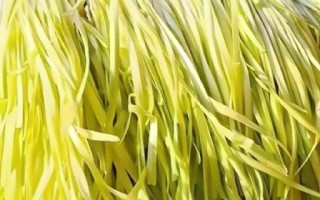 韭黄是发物吗_手术后能吃韭黄吗