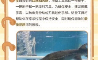 鲟鱼怎么杀_鲟鱼怎么清洗