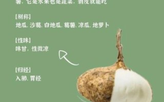 豆薯的功效与作用_豆薯怎么吃最健康