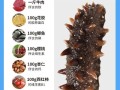 海参什么时候吃效果最好_海参一天吃几次最科学