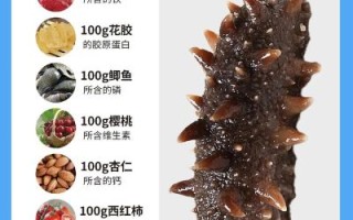 海参什么时候吃效果最好_海参一天吃几次最科学