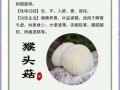 新鲜猴头菇的功效与作用禁忌_哪些人不能吃