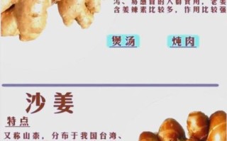 毛姜别名叫什么_毛姜与生姜区别