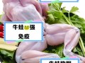 牛蛙的营养价值_牛蛙的功效与作用