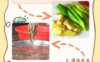 禾虫怎么做好吃_禾虫的家常做法
