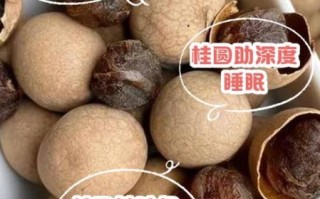 鲜桂圆的功效与作用禁忌_孕妇能吃吗