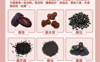 肾虚吃什么食物补得快_肾虚吃什么食物补得快