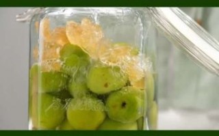 自制青梅酒的做法_青梅酒用什么酒泡最好