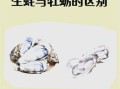 牡蛎读音是什么_牡蛎怎么读才标准