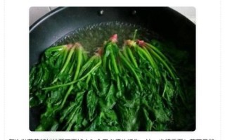 烧菠菜怎么保持翠绿_烧菠菜要不要焯水