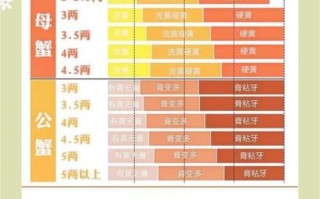 螃蟹什么时候吃最好_最佳食用月份
