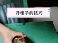 椰子怎么打开_椰子壳怎么开最简单
