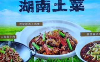 中国十大湘菜品牌有哪些_湘菜品牌加盟哪家好
