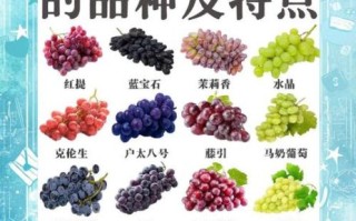 葡萄的营养价值及功效_吃葡萄有什么好处