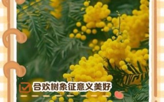 合欢树为什么叫鬼树_合欢树鬼树传说