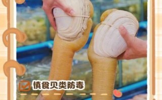 象拔蚌女性会拿来用吗_女性使用象拔蚌的真实体验