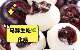马蹄的功效与作用禁忌_什么人不能吃马蹄