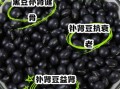 肾豆怎么吃_肾豆的正确做法与禁忌