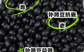 肾豆怎么吃_肾豆的正确做法与禁忌