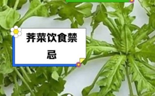 荠菜不能和什么一起吃_荠菜和哪些食物搭配最好