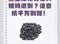 坚持吃黑豆一年月经变化_黑豆调理月经真的有效吗