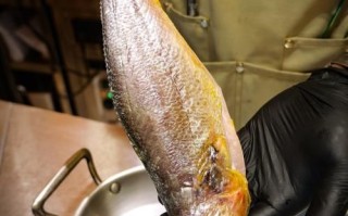 冰冻黄花鱼怎么处理内脏_解冻后去内脏技巧