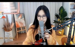 菠萝赛东黑历史_她到底做了什么