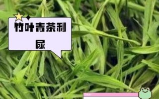 竹叶青茶怎么泡_竹叶青茶的功效与作用