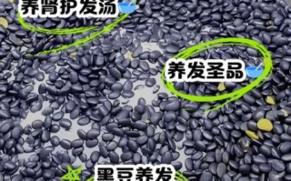 黑豆怎么吃对白发好_黑豆治白发的正确吃法
