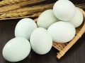 绿壳乌鸡蛋多少钱一斤_绿壳乌鸡蛋价格行情