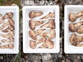 松茸蘑菇怎么挑选_松茸蘑菇价格多少钱一斤