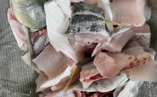 白乌鱼汤的功效与作用_白乌鱼汤适合什么人喝