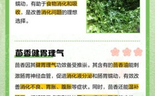 茴香对男人有什么副作用_男人吃茴香会影响性功能吗