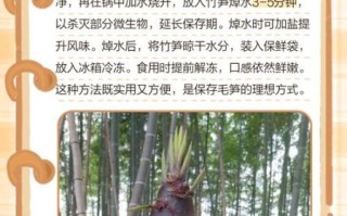 毛竹笋能吃吗_毛竹笋怎么处理才能吃