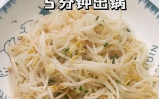 绿豆芽菜怎么炒好吃_绿豆芽焯水几分钟